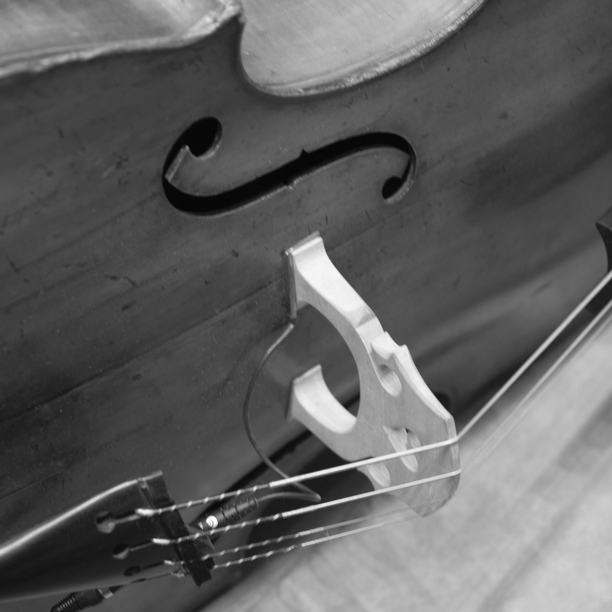 Contrabasles in het Westerkwartier | Het Kunstkwartier